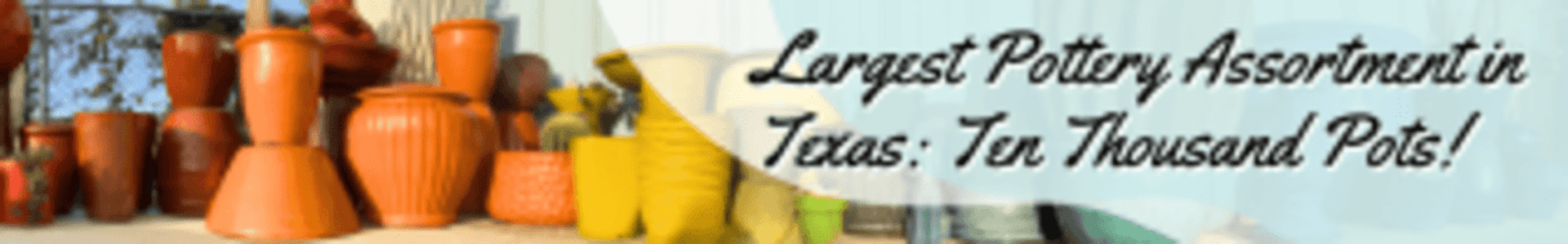 Large Ceramic Flower Pots and Planters | Ten Thousand Pots