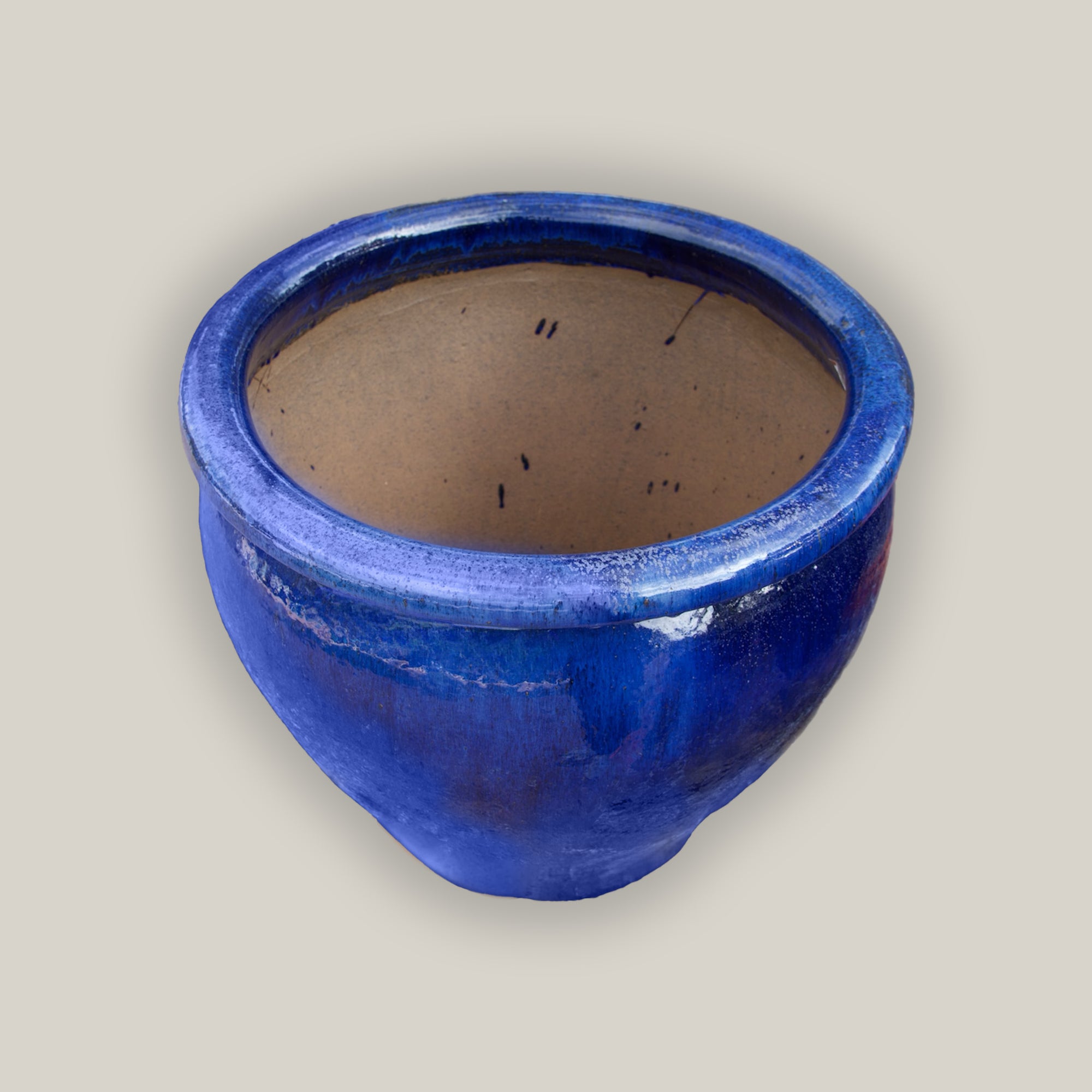 Blue Dragon Ceramic Fish Bowl Planter | Ten Thousand Pots